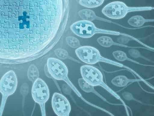 How Does Exercise Affect Fertility? How Does Exercise Affect Fertility?